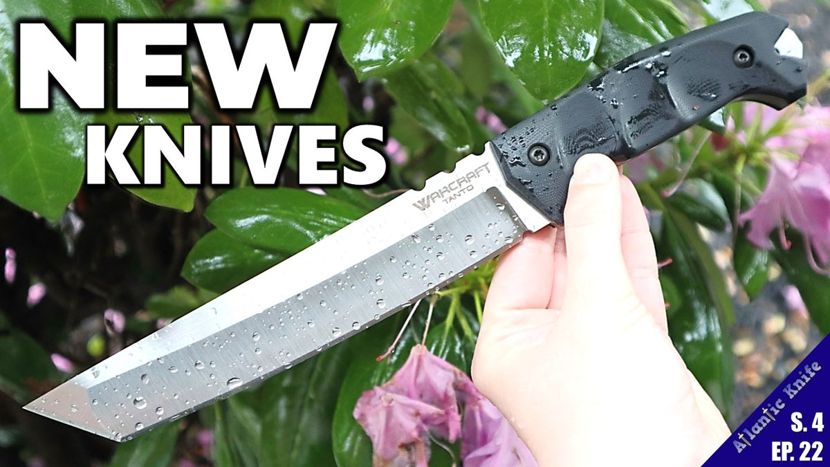 NEW Knives | Fixed & Folders Cold Steel Maxace + More | AK Blade Shiel ...